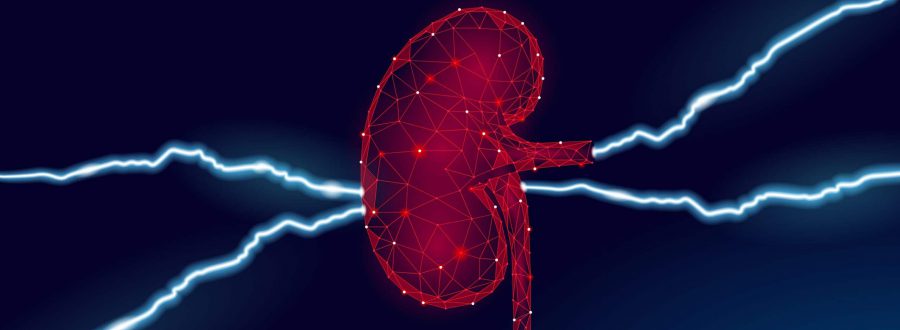 Co to jest nefrostomia i kiedy się ją wykonuje? | MedoVita.pl
